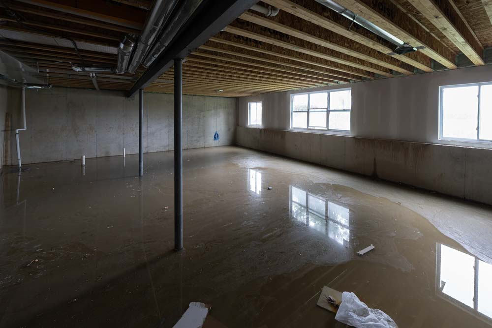 The Best Ways To Deal With Basement Water Damage